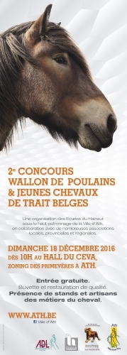 Ath: Ce dimanche,70 jeunes chevaux de trait inaugureront les ...