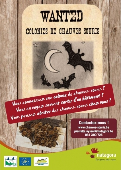Connaissez-vous des lieux de gîtes de colonies de chauves-souris sur ...