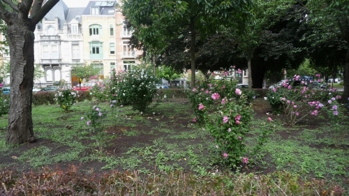 Huart Hamoir pairs - Textes & prétextes