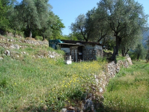 Nous – Marie Gillet - Textes & prétextes