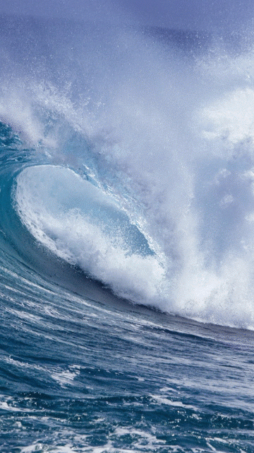 UNE ÉNORME VAGUE EN FORMATION !... - ELA MARRITI