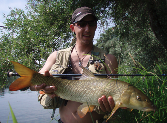 Un jour .. un poisson .. une histoire! Gros barbeaux à la mouche ...