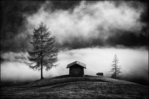 Ando Fuchs - CATHY GARCIA-CANALES
