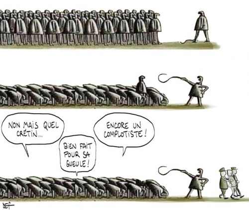 Mougeons, moutruches et muselières (335) : ET POURQUOI DONC