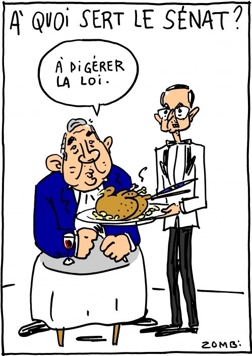 FANZINE ZEBRA BANDE-DESSINEE ET CARICATURE