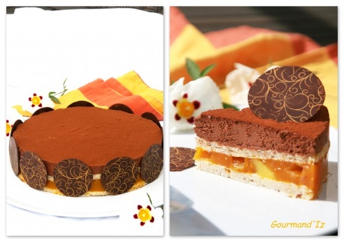 Entremets Chocomanga-passion, variation du Klemanga de l'Encyclopédie ...