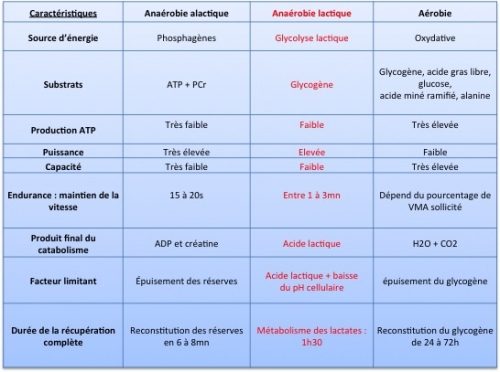 Tableau filières énergétiques - La récupération sportive