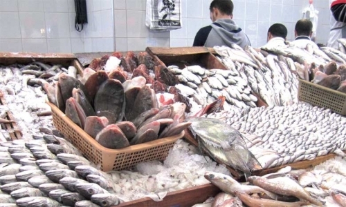 Tétouan : ouverture du nouveau marché de gros au poisson - Tendances du ...