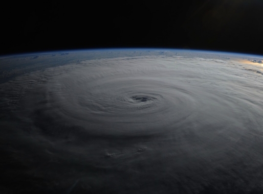 Villa Vortex de Maurice G. Dantec : STALKER - Dissection du cadavre de ...