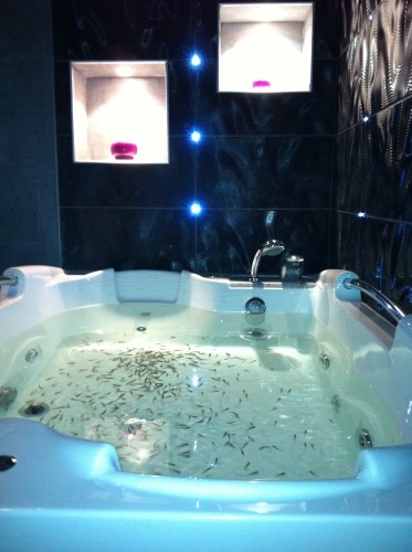 J'ai testé pour toi : la Fish BODY Cure au Rufa Fish Spa. - Les ...
