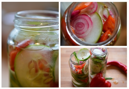 Pickles de concombres : La Cocotte